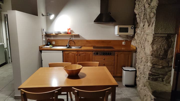 Apartamentscanpistola - Bagà