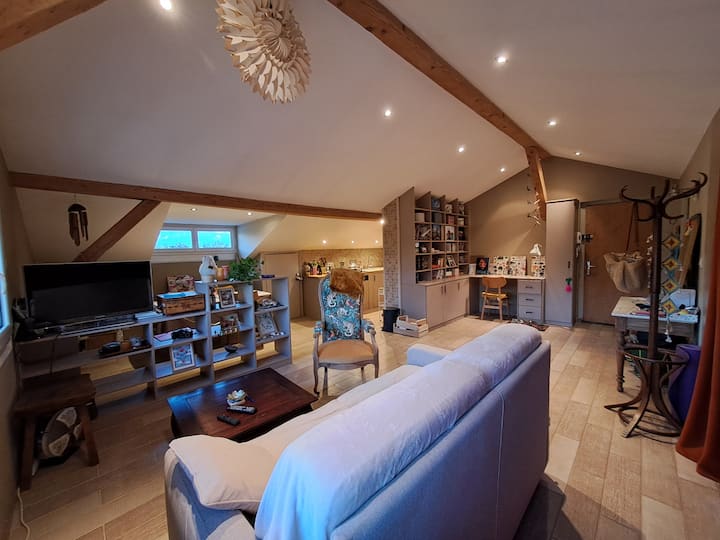Appartement Type Loft, Cosy - Bonneville