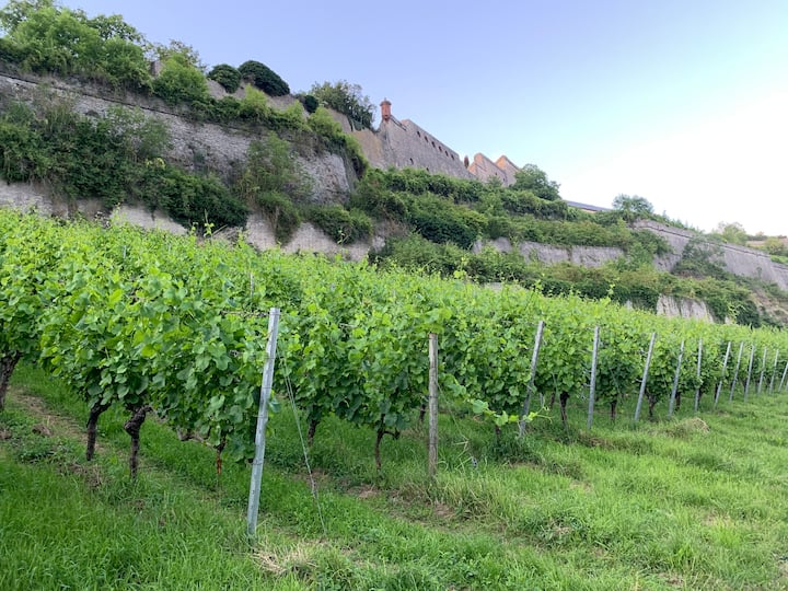 Zimmer An Der Festung - Würzburg