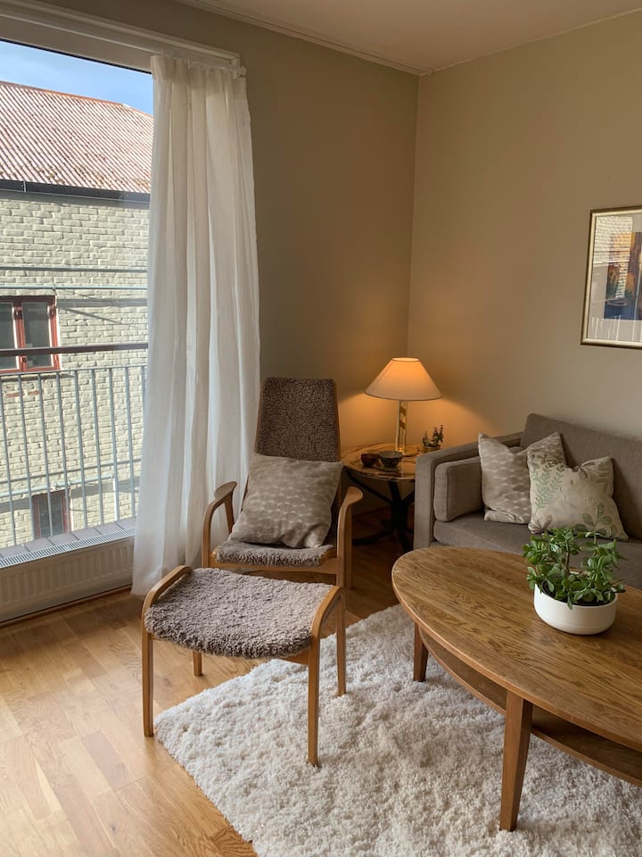 Sentral 2-roms Leilighet - Trondheim