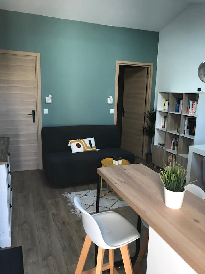 Agréable Studio Climatisé - Cugnaux