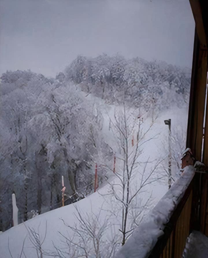 E204 Winterplace Condo Skin In Ski Out 2nd Floor - Ghent