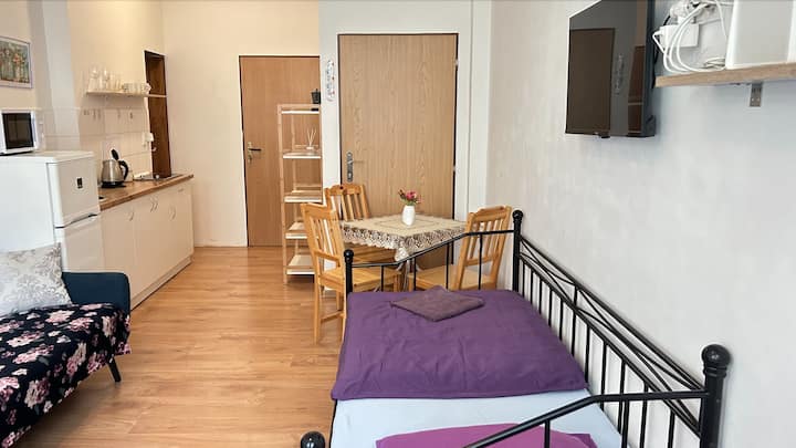 Double Spacious Flat In Teplice - Teplice