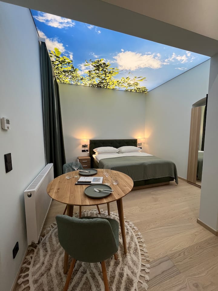 Standard Apartment Mit Kleinem Innenhof - Viena