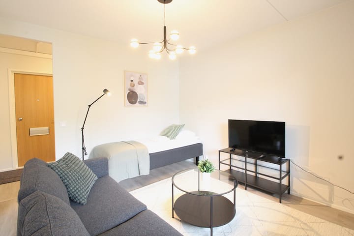Smart One Bedroom For Three In Hämeenlinna - Janakkala