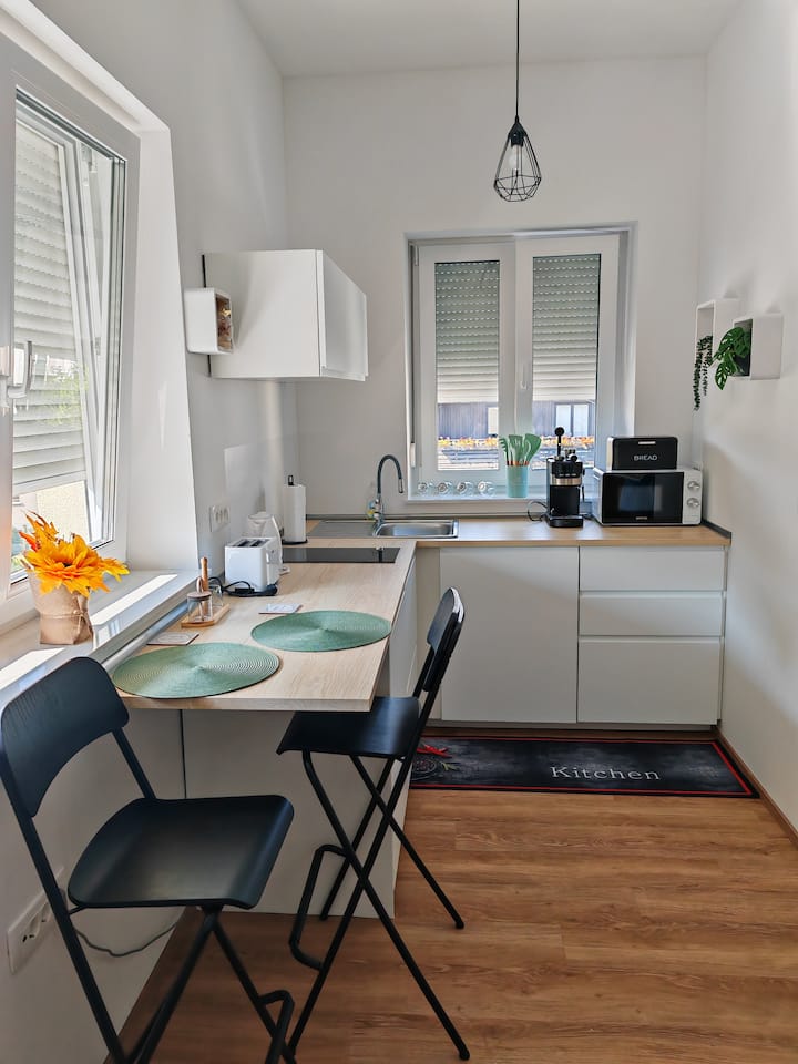 Green Apartment - Ljubljana