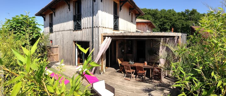 Belle Maison Bassin D'arcachon - Biganos