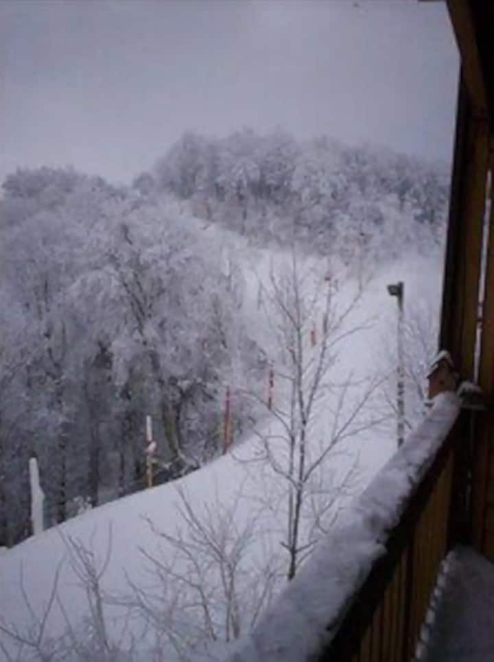 E205 Winterplace Condo Ski In Ski Out 2nd Floor - Ghent, WV