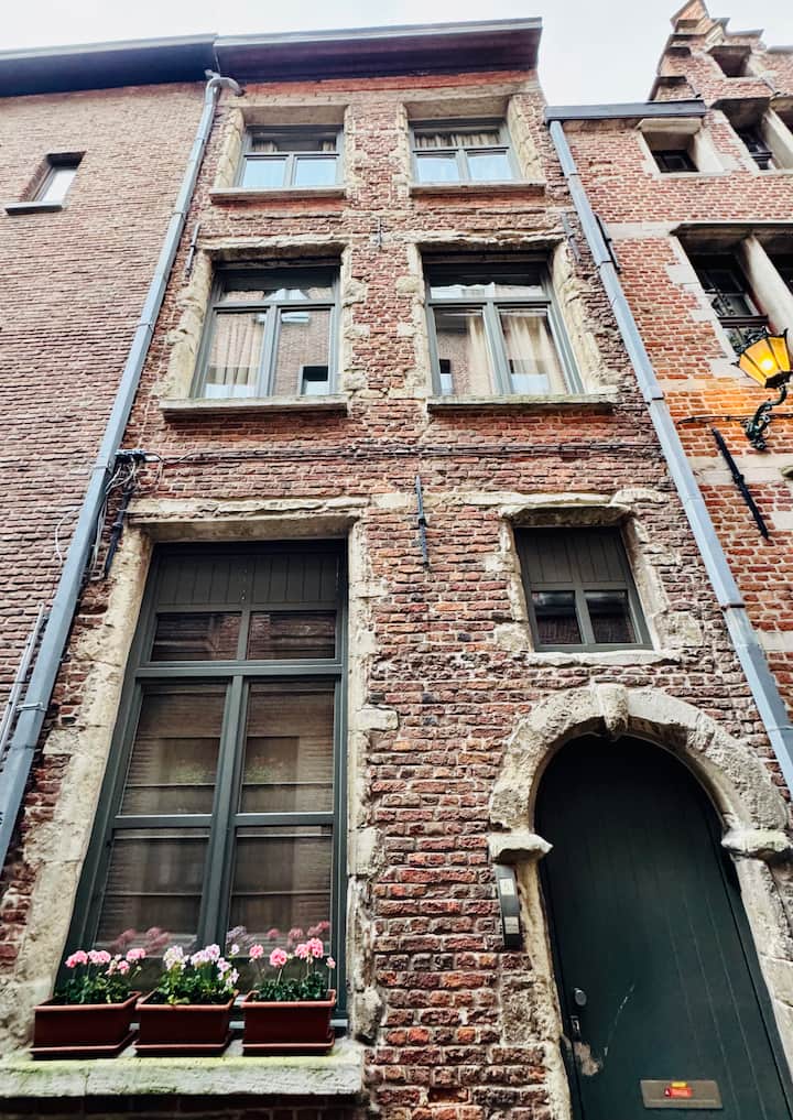Bed Star Line Home; A Gem In The Historical Center - Antwerp
