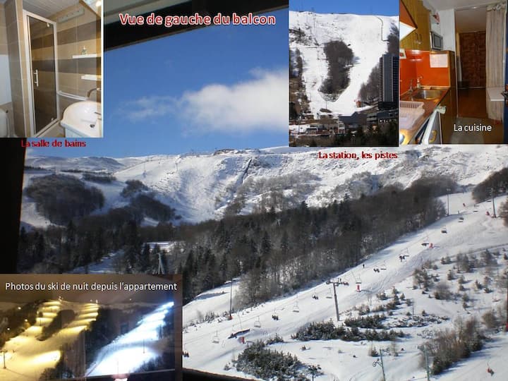 Appt 3 Prs Tour De La Biche - Lac Chauvet
