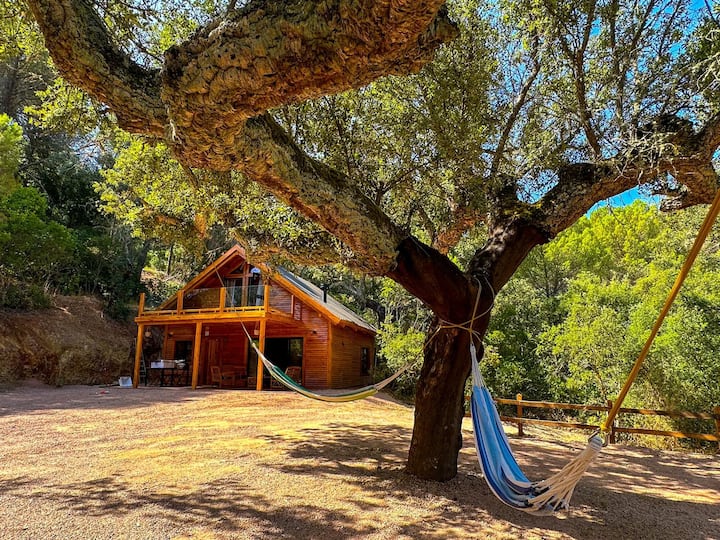 Maravillosa Cabaña N El Bosque Cn Chimenea Cordoba - Spain