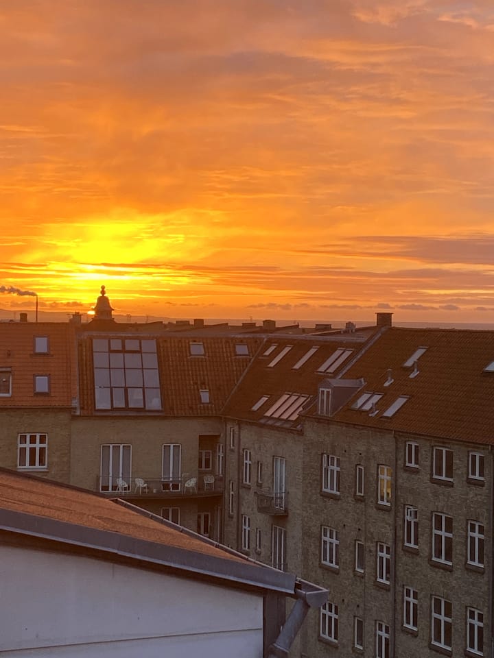 Centralt Beliggende Taglejlighed - Aarhus