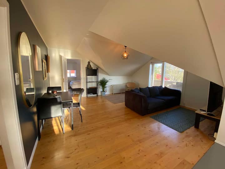 2 Bedroom Apartment Near Center - Reikiavik