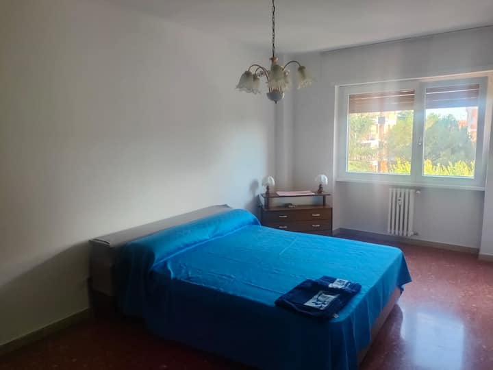 Appartamento Ristrutturato - Frascati