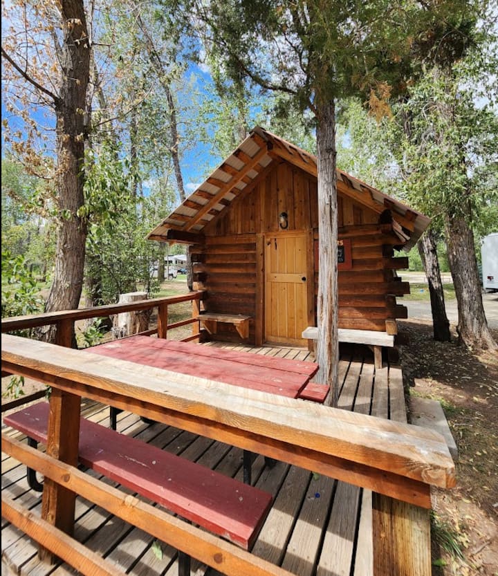 Hummingbird Riverfront Cabin - Dolores, CO