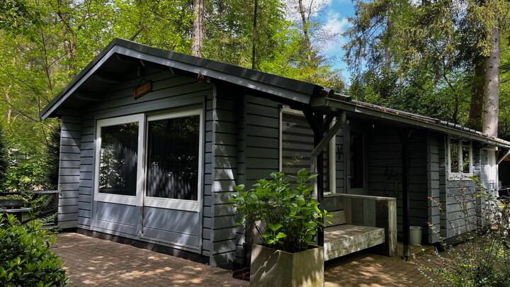 Een Droomchalet Op De Veluwe - Dieren