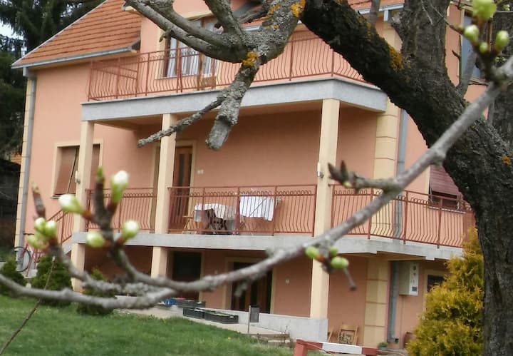 Јовановић - Knjaževac