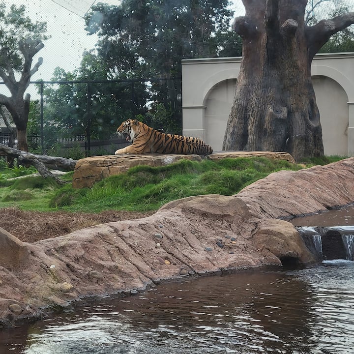 Lsu Getaway - Louisiana