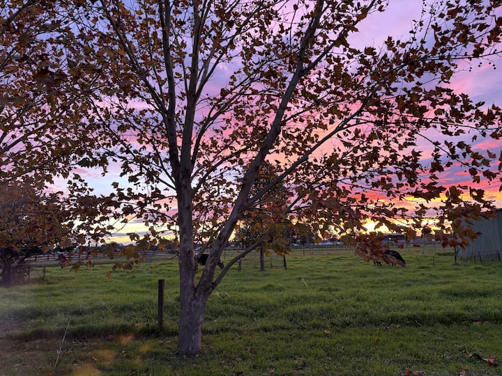 Lorn Farm Stay - Centre Of Hunter Valley/newcastle - Hinton