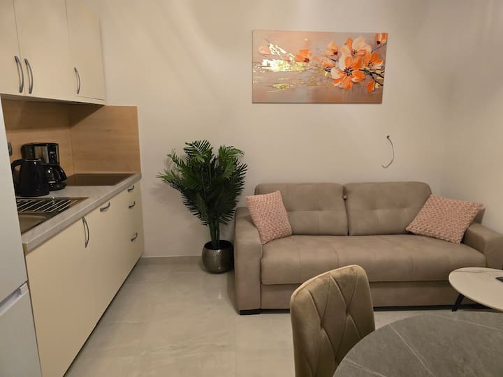 Villa Mak 2 - Portorož