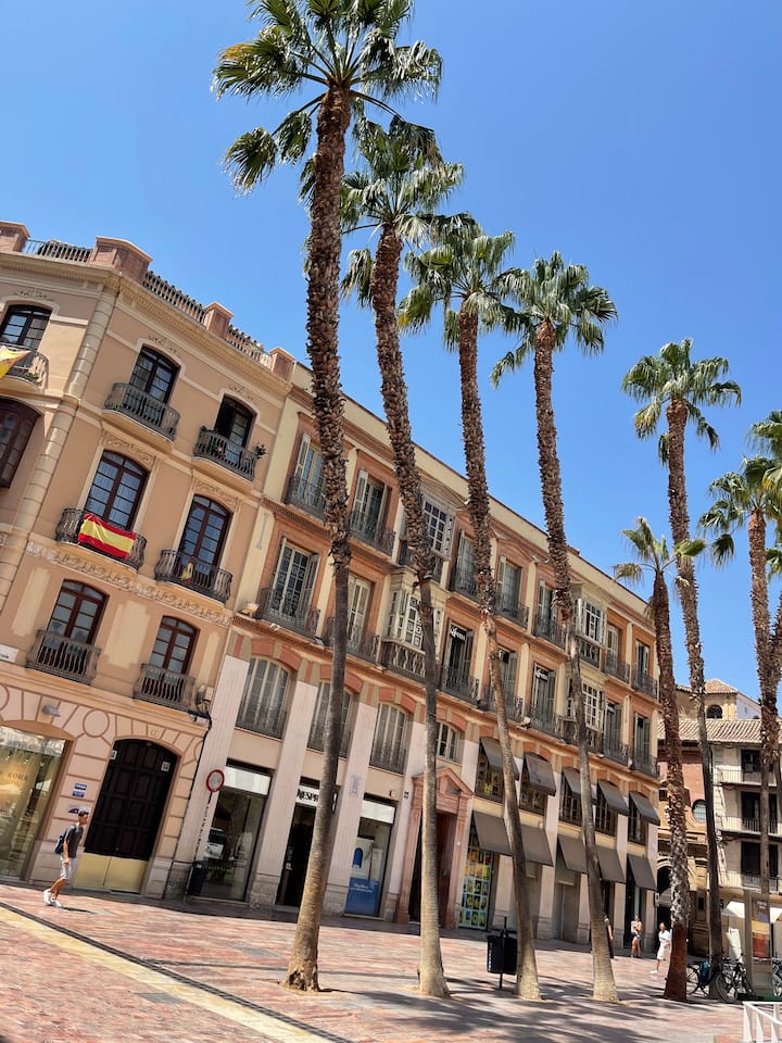 Picasso City Centre 1b - Málaga, Spagna