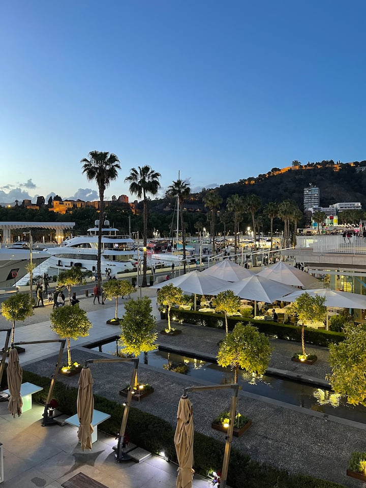 Picasso City Centre 1c - Malaga Province, Espagne