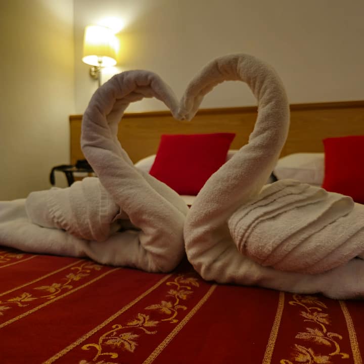 Double Or Twin Deluxe Room - Venice
