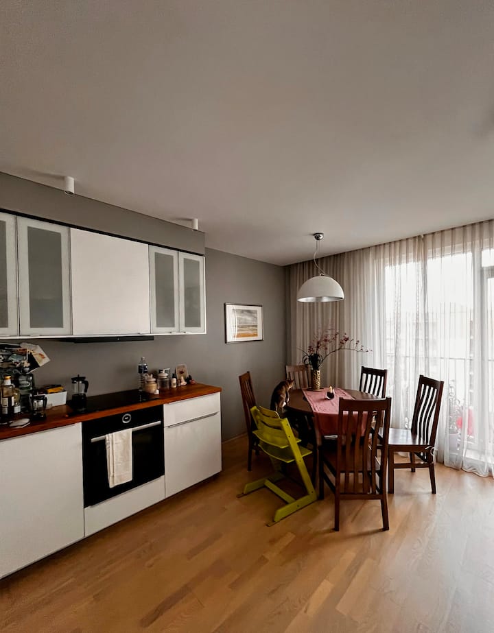 Family Getaway: Walk To Old Town - Vilnius