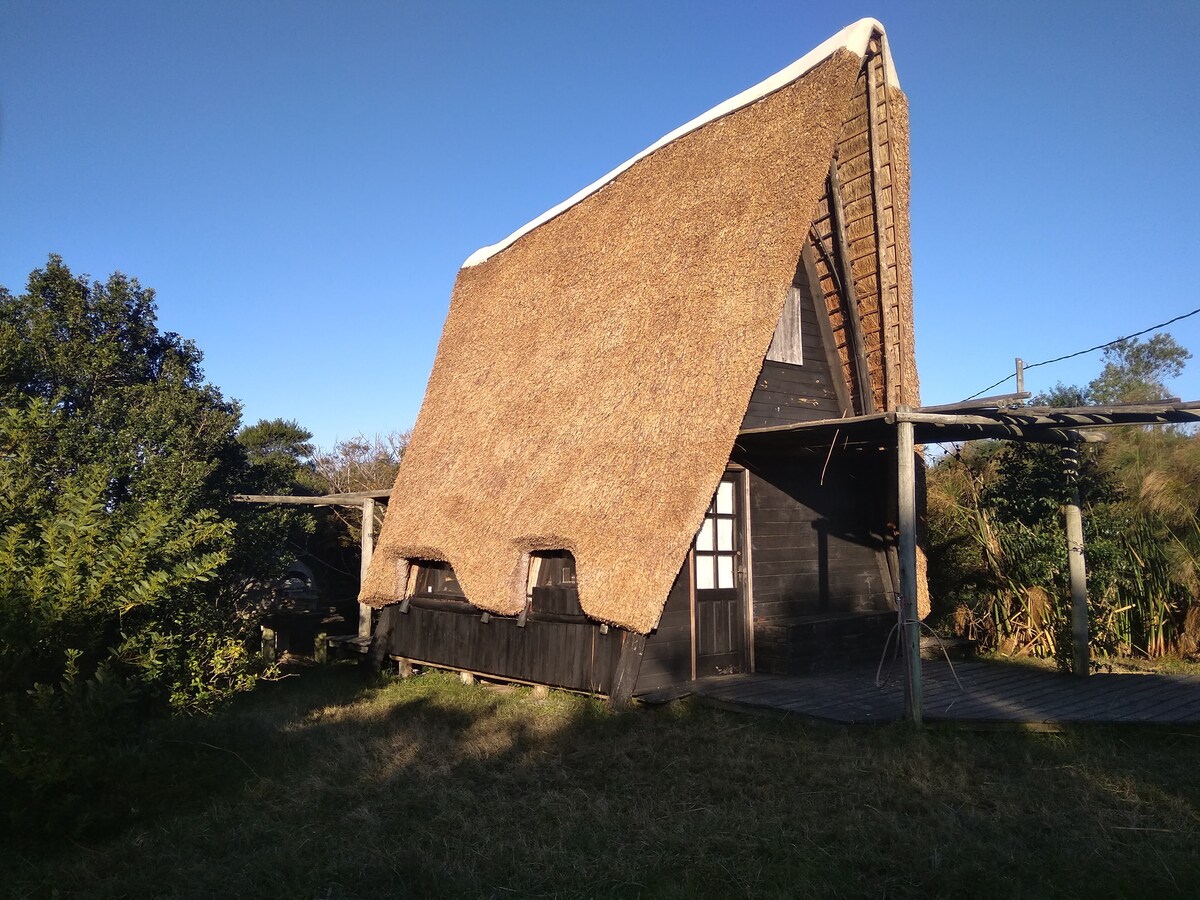 the dacha - Cabins for Rent in Punta Rubia, Departamento de Rocha ...
