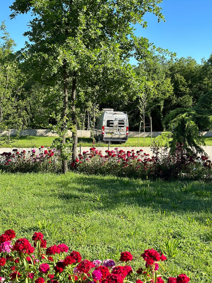 Campsite - Tent Pitch - Podgorica