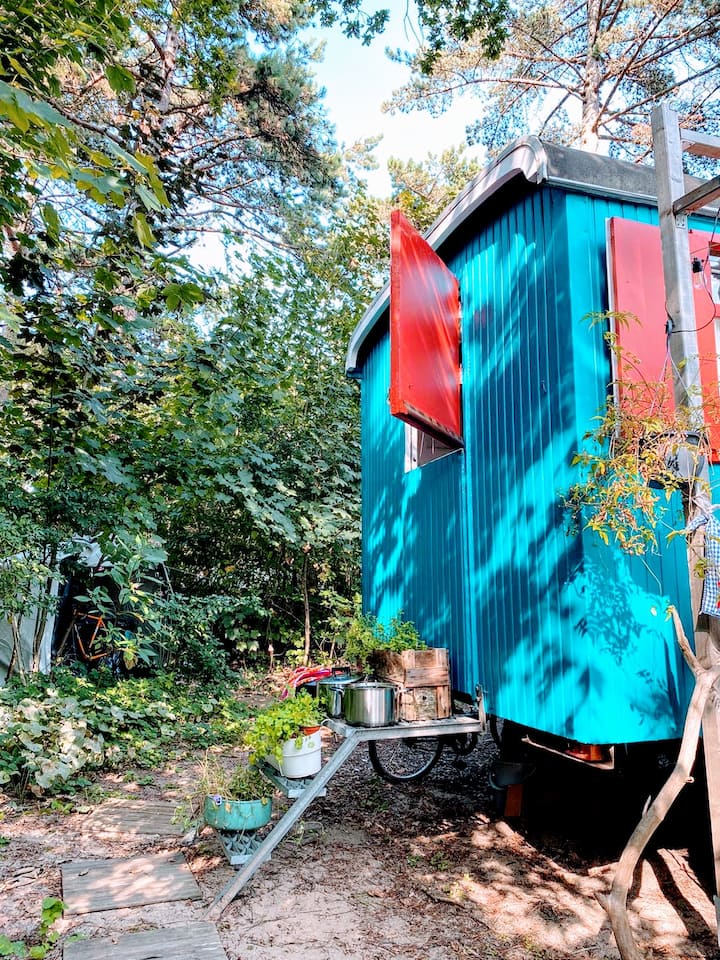 Moonlodge-
Pipowagen Vlakbij Castricum Aan Zee - Egmond aan Zee