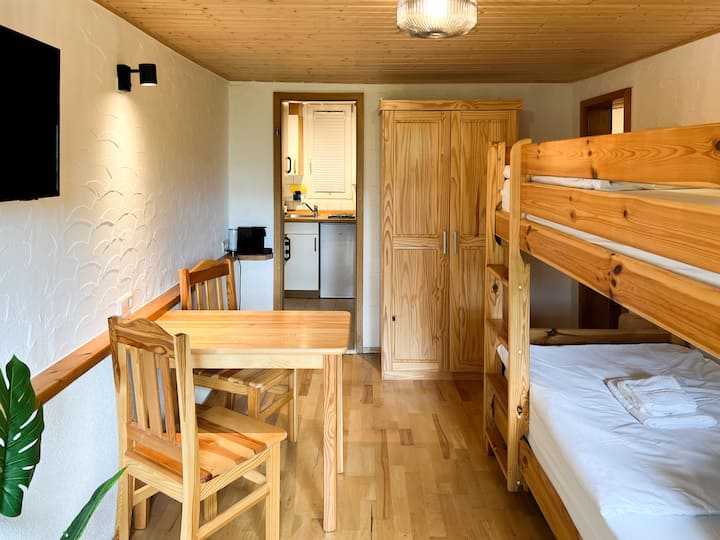 Schwarzwald Apartment | Direkter Zugang Zum Garten - Hinterzarten