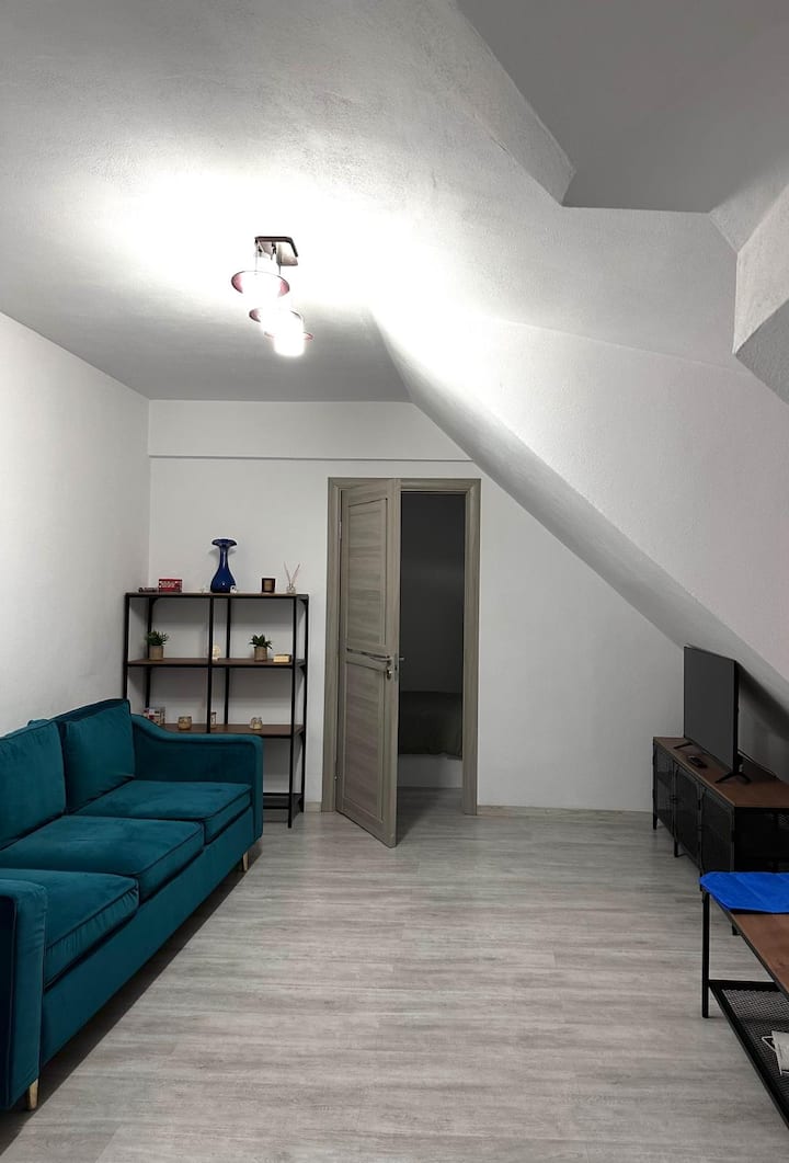 Apartament Confortabil Central - Bucharest