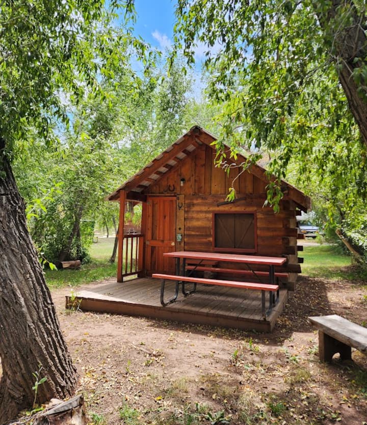 Magpie Cabin - Dolores, CO