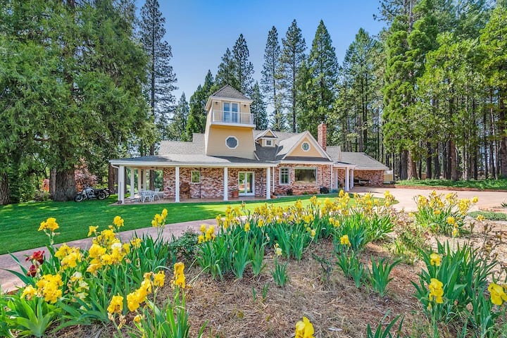 Southern Comfort - Placerville