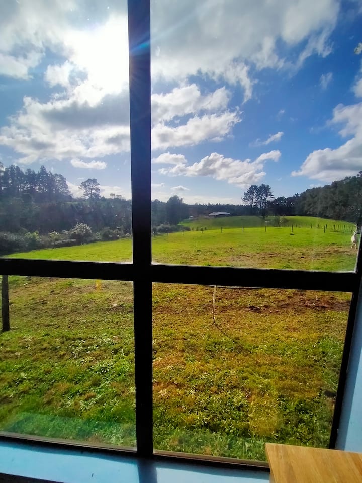 Rustic Cabins On Nz Lifestyle Block Near Tauranga - Ōmokoroa