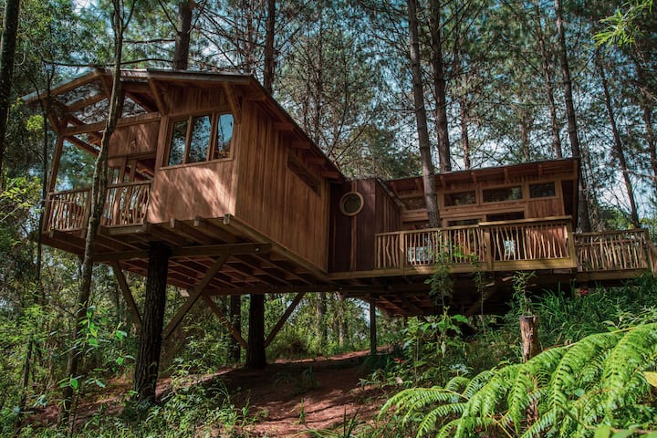 Casa áRbol éLite De Colombia - Colombia