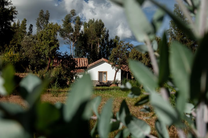 Casa Andina • Vistas Panorámicas • Roost_ayarmaca - Provincia de Anta