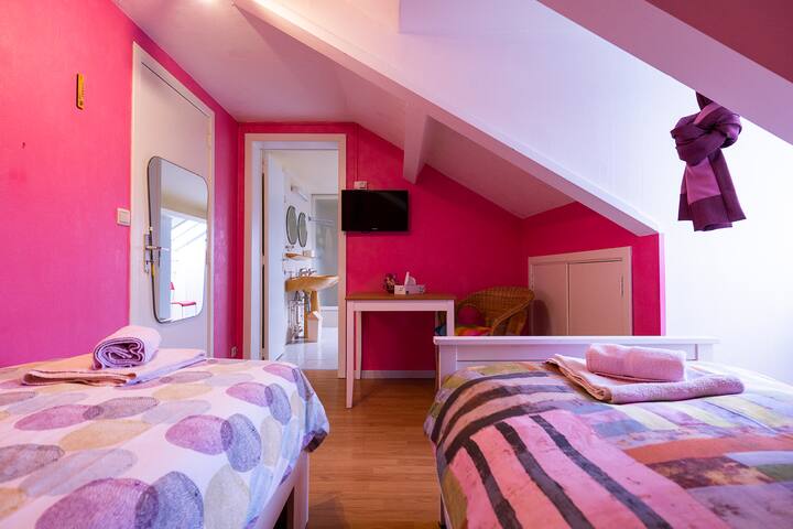 Chambre Lits Jumeaux Avec Vue Sur Le Jardin - Florenville
