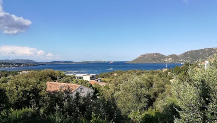 Appartement Avec Vue Mer - Porto-Vecchio