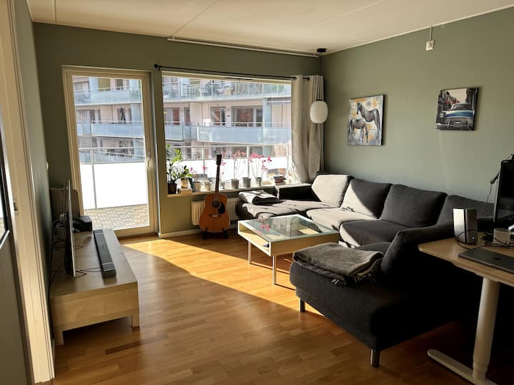 Stor, Sentrumsnær Leilighet - Oslo