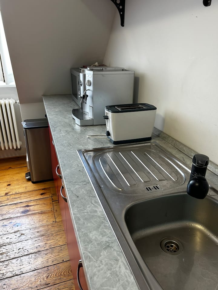Historisches Hostel Im Zentrum 5 - Mannheim