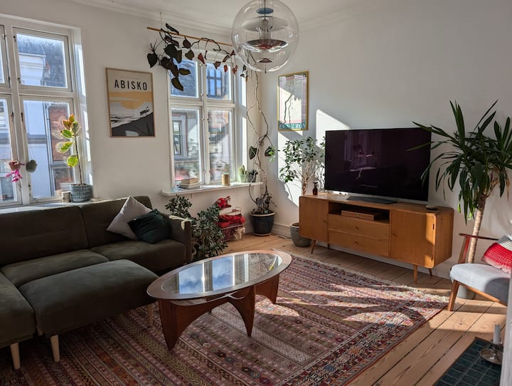 Sunlit Oasis In Nørrebro - Kopenhagen