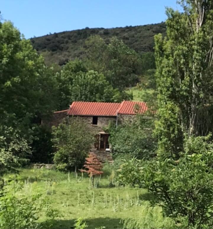 Suite Familiale - Vernet-les-Bains