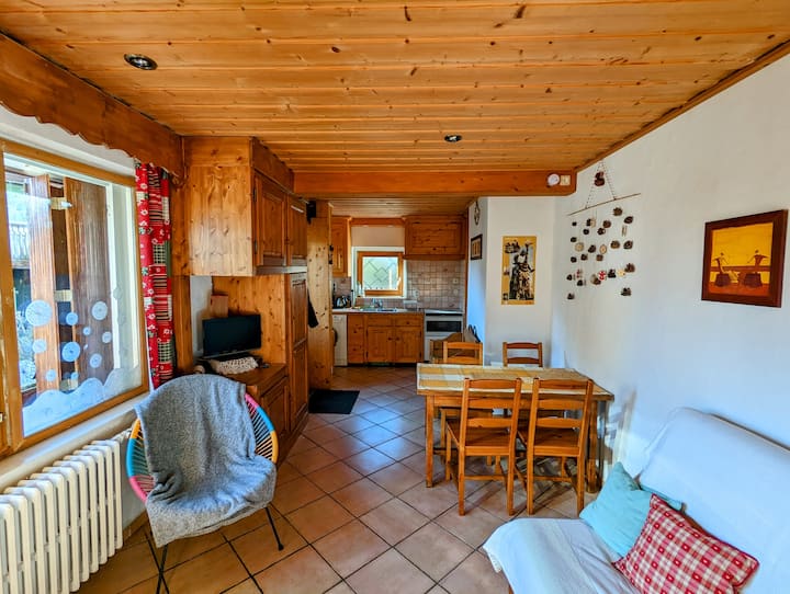 Rez De Jardin Face Au Mont-blanc - Passy