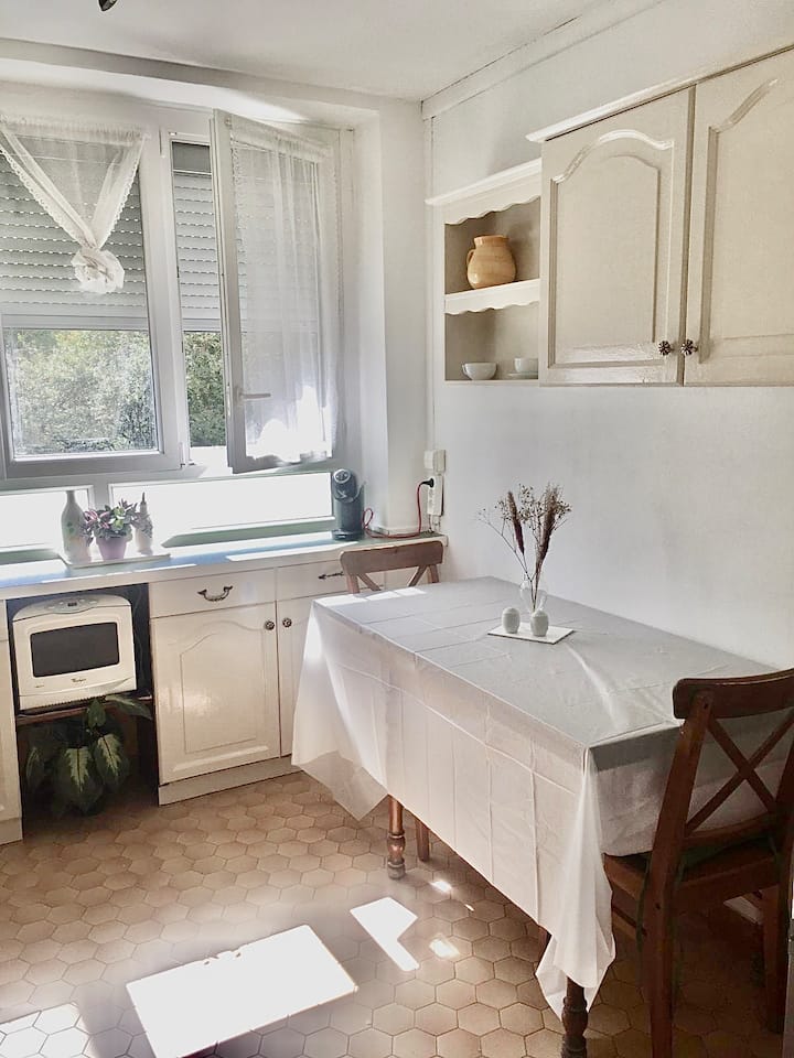 Appartement Spacieux Et Lumineux 1min Du Parc - Bron