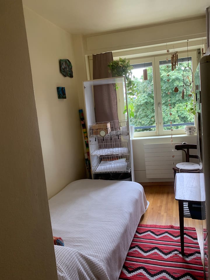 Small Room In Cozy Apartment - Geneva