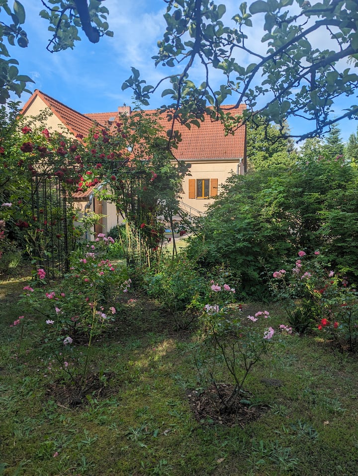 Finca Calma In Wusterwitz - Brandenburg an der Havel