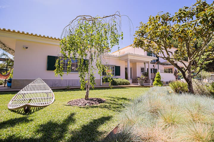 Buganvília Do  Meco - Sesimbra