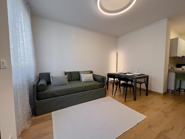 Domusvicentia - Vicence